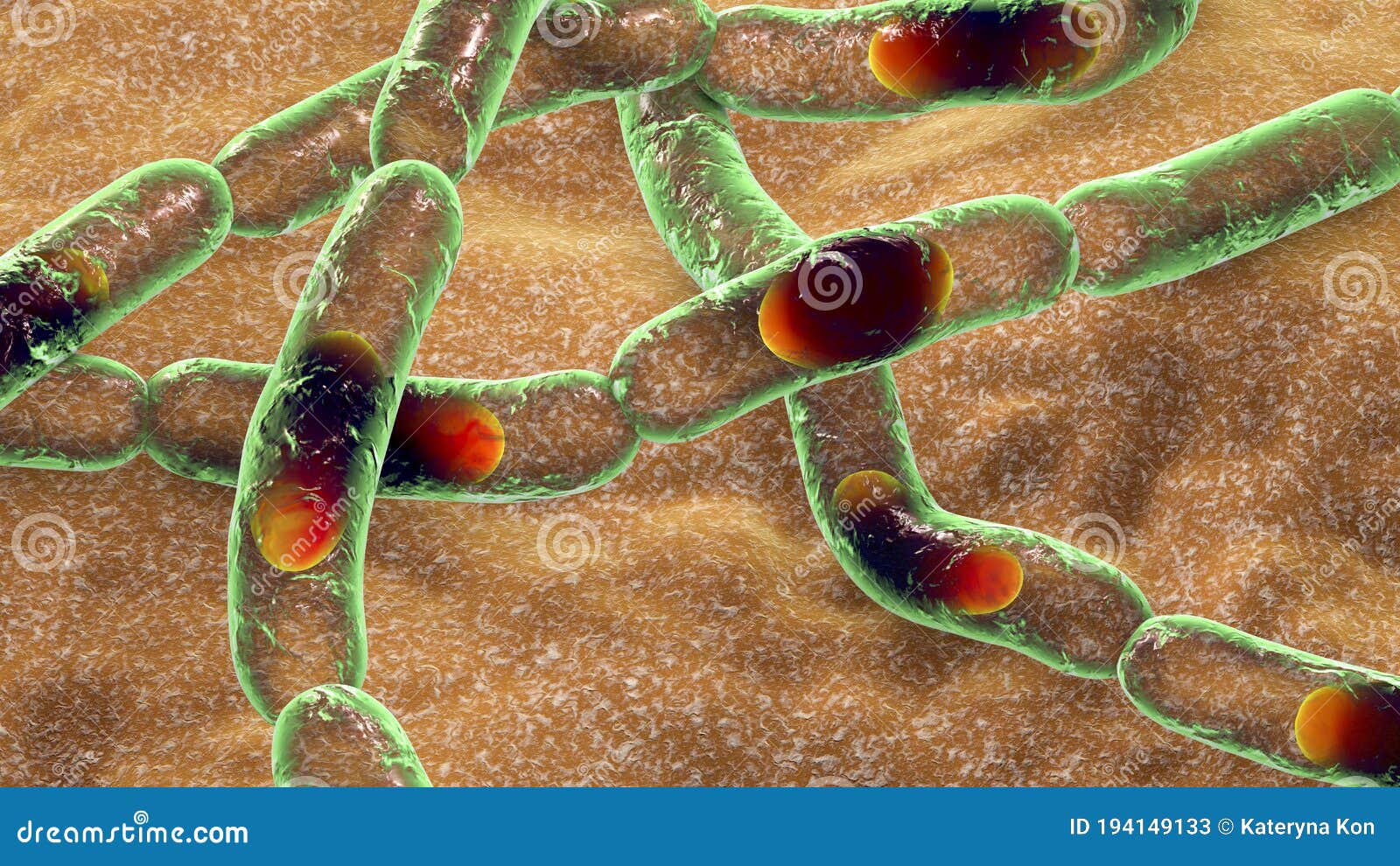 Bacteria Bacillus Anthracis, the Causative Agent of Anthrax Disease Stock Illustration ...