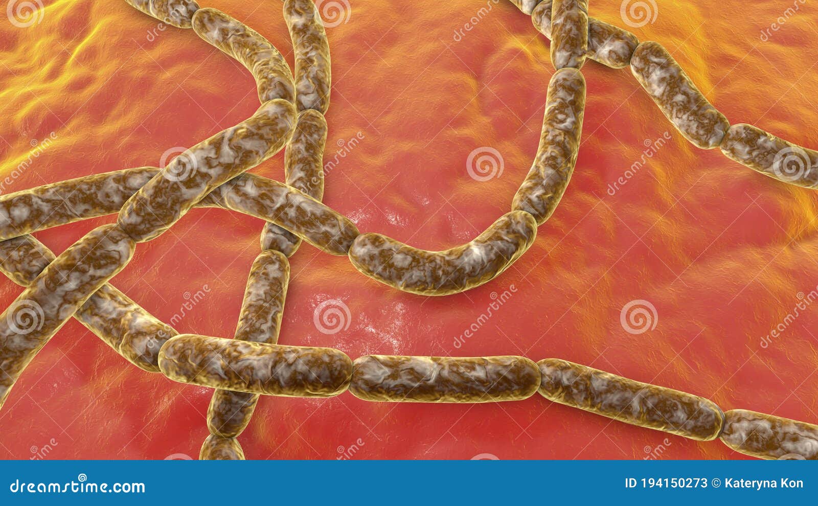 Bacillus Anthracis Infographic On A Blue Background Stock Photography ...