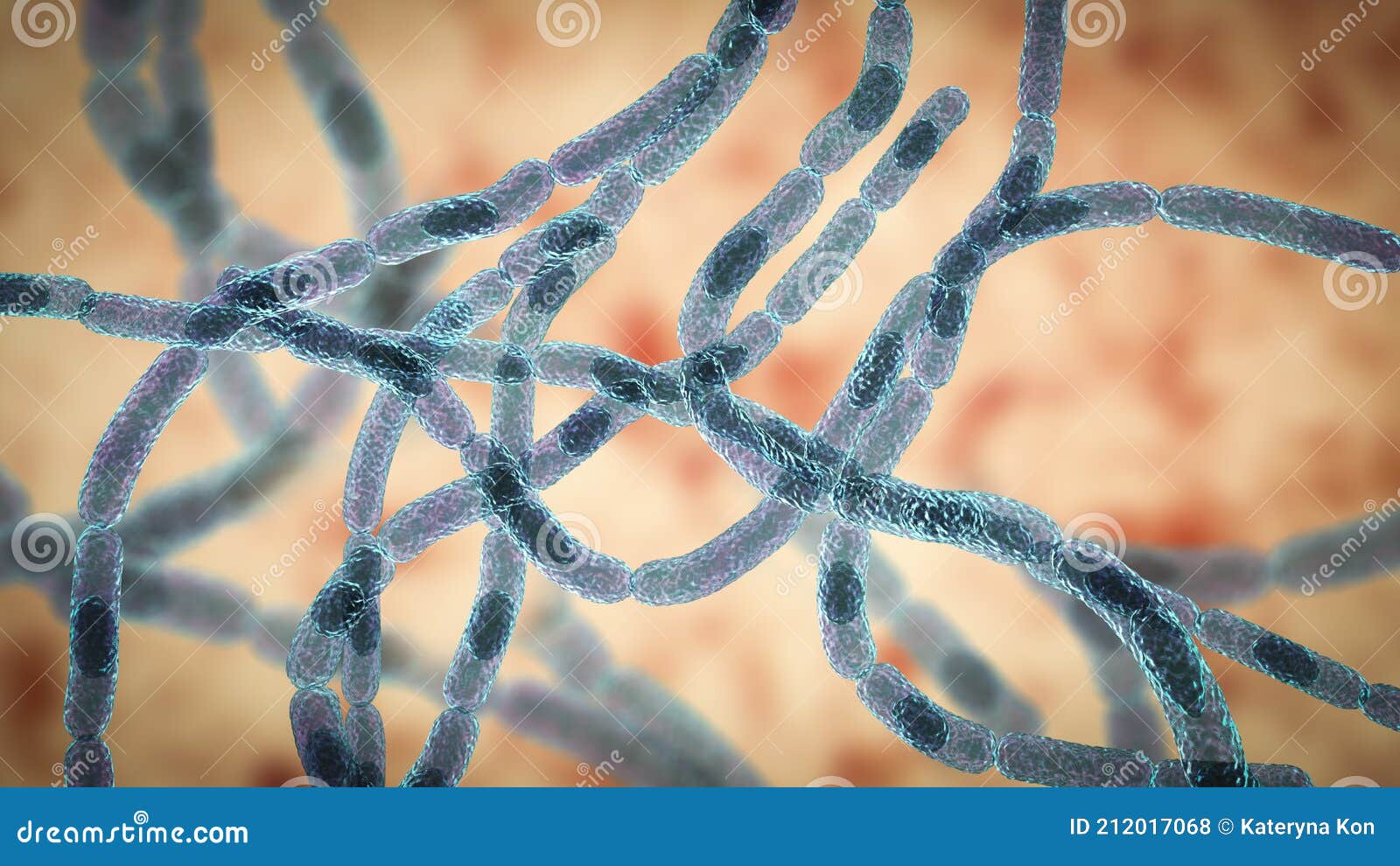 Bacteria Bacillus Anthracis Stock Illustration - Illustration of eschar ...