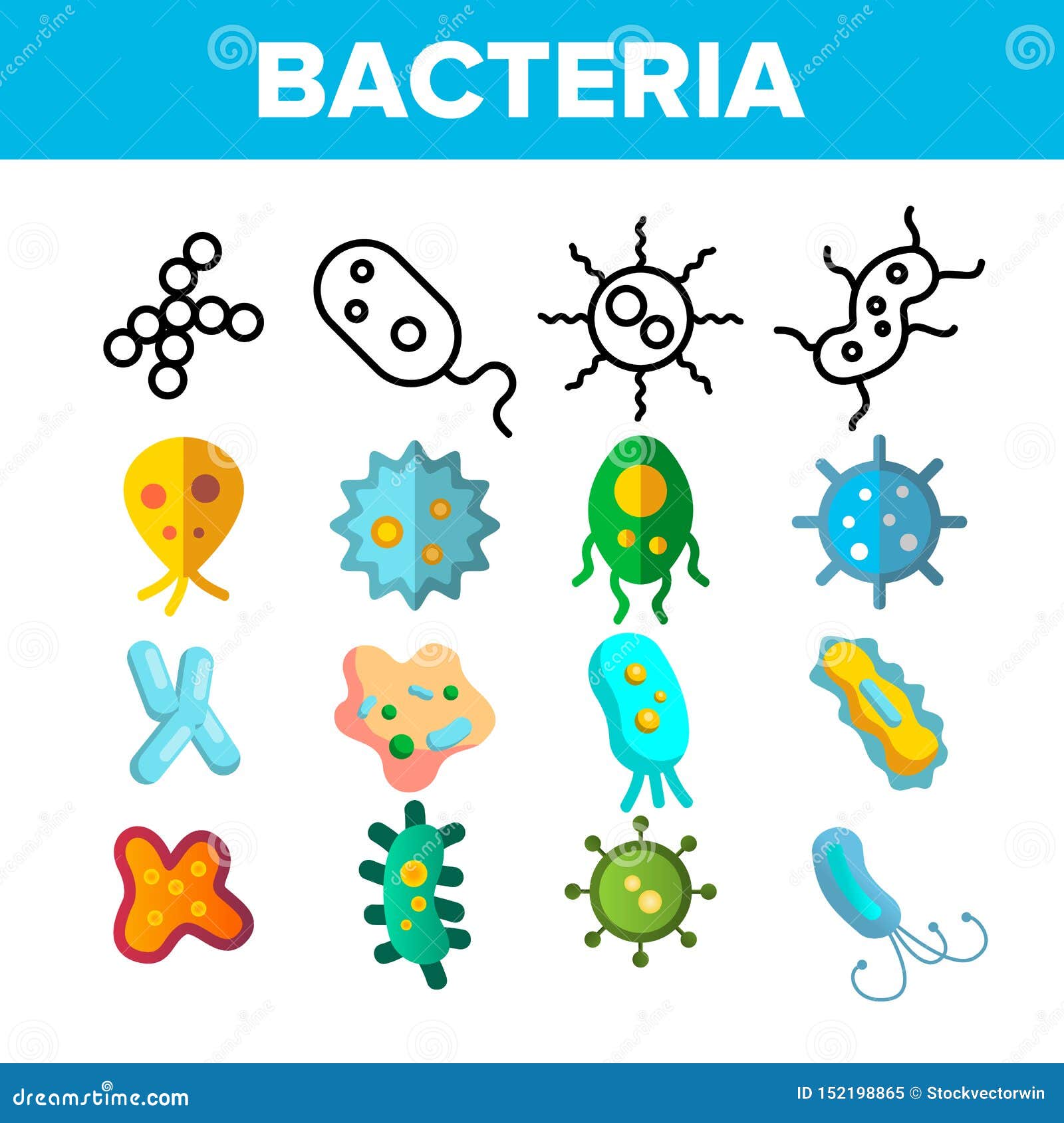 Bacteria, Bacterial Cells Vector Thin Line Icons Set Stock Vector ...