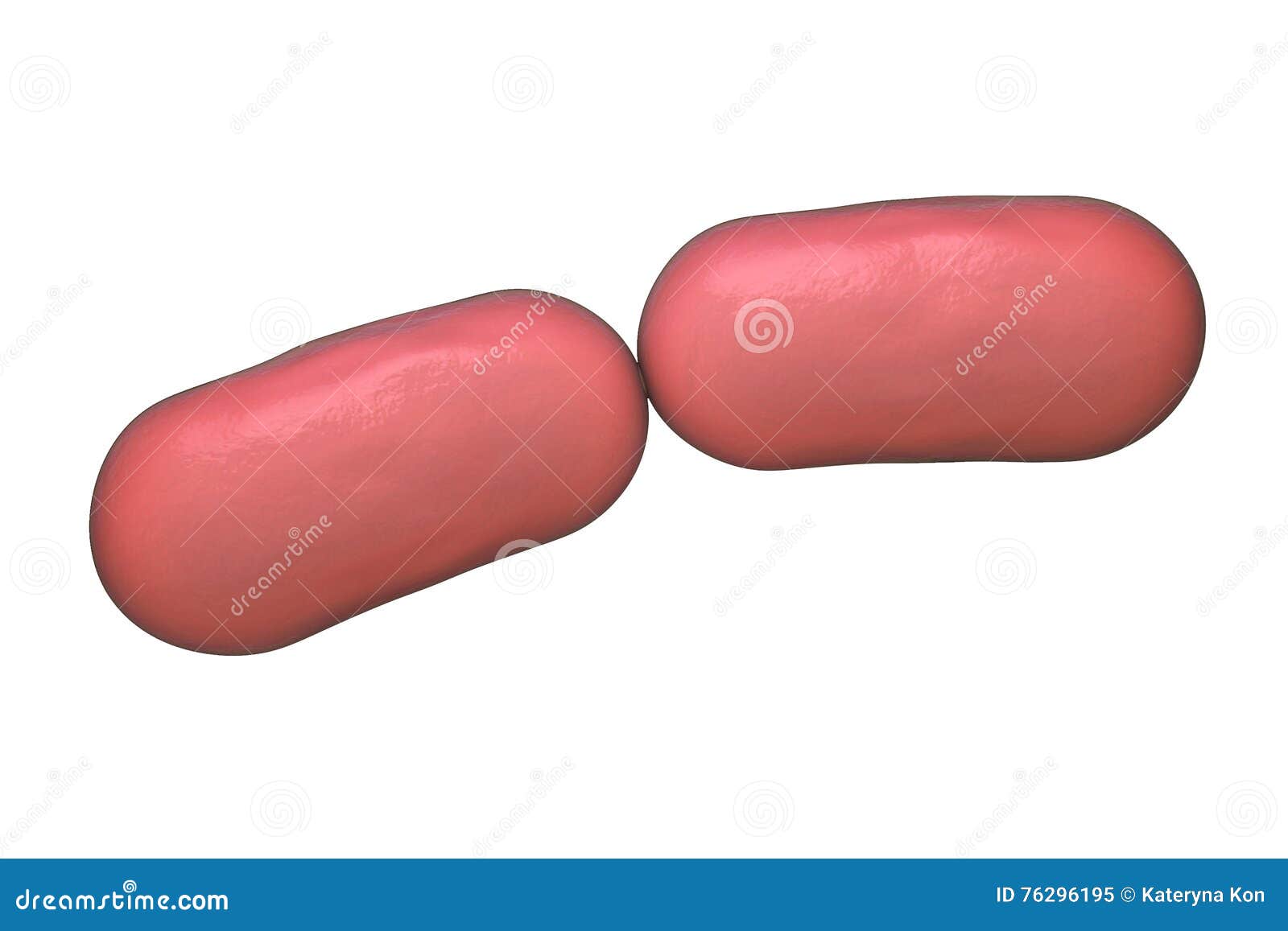 Bacteria stock illustration. Illustration of illness - 76296195