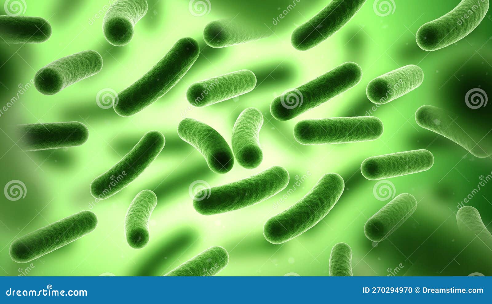 Bacteria Bacterium Green Color Prokaryotic Microorganisms Stock Illustration Illustration