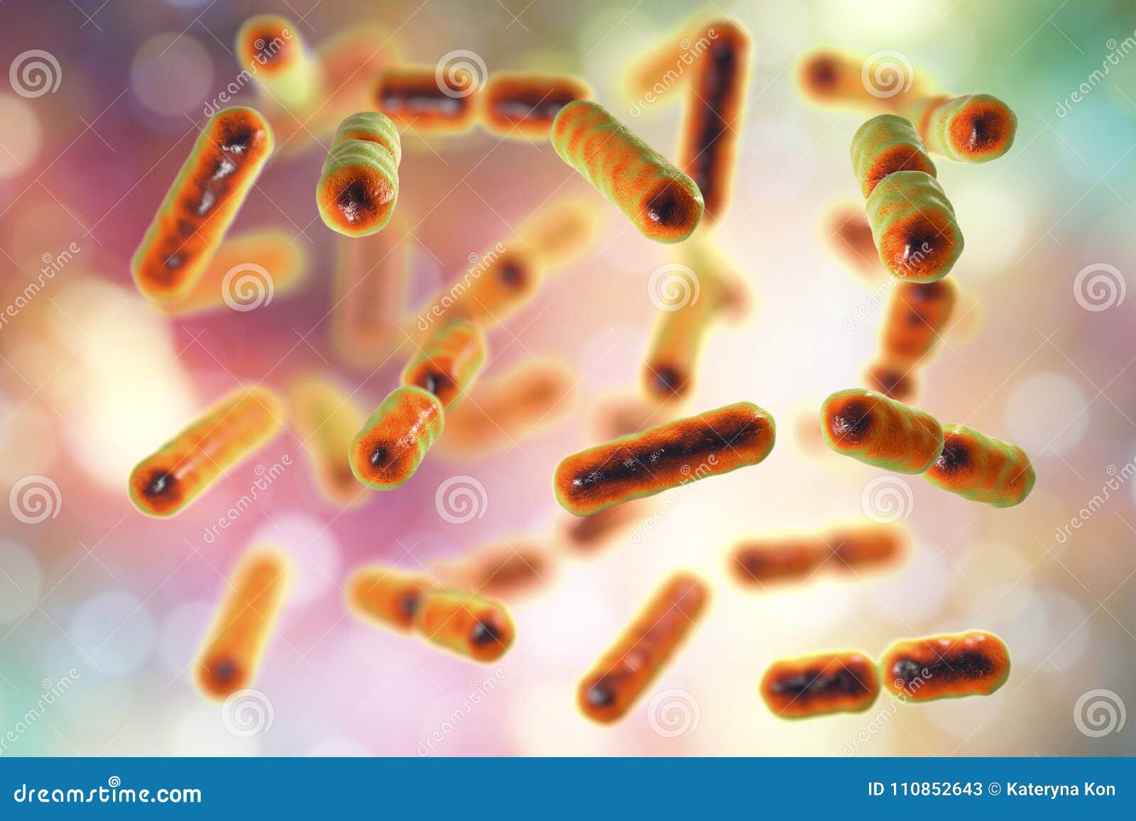 Bacteria Bacteroides Fragilis, The Major Component Of Normal Microbiome ...