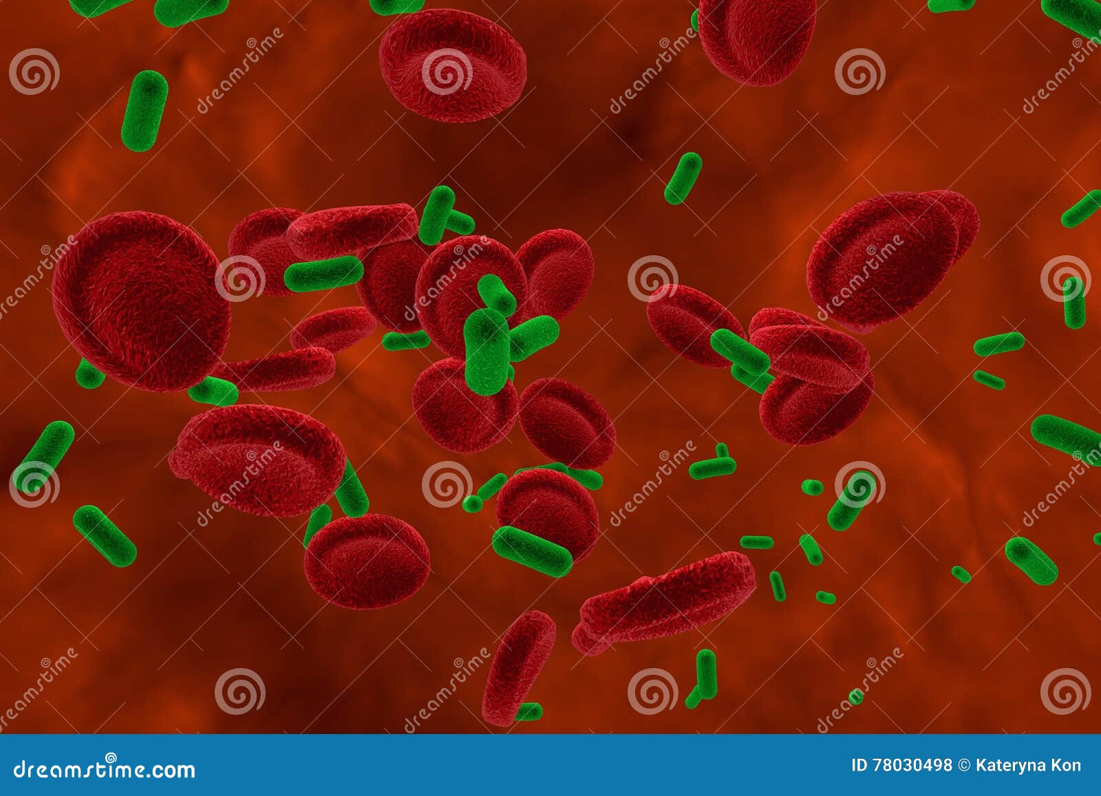Bacteria in Blood, Bacteriemia Stock Illustration - Illustration of ...