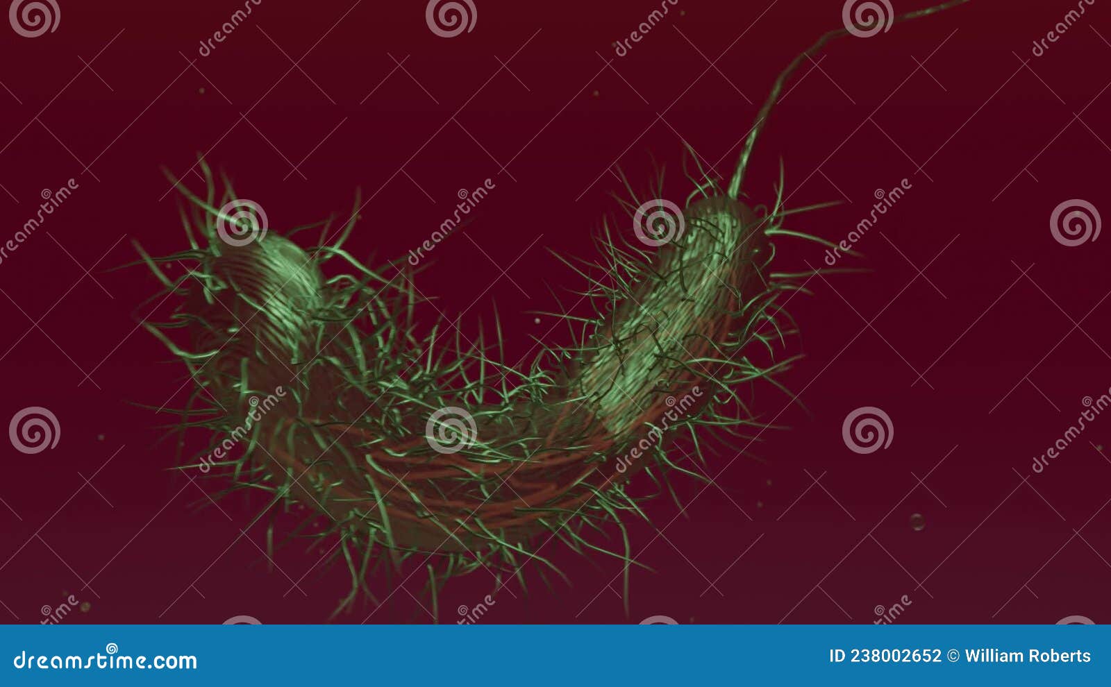 Bacteria in the Bloodstream 3-D Animation Stock Footage - Video of cell ...