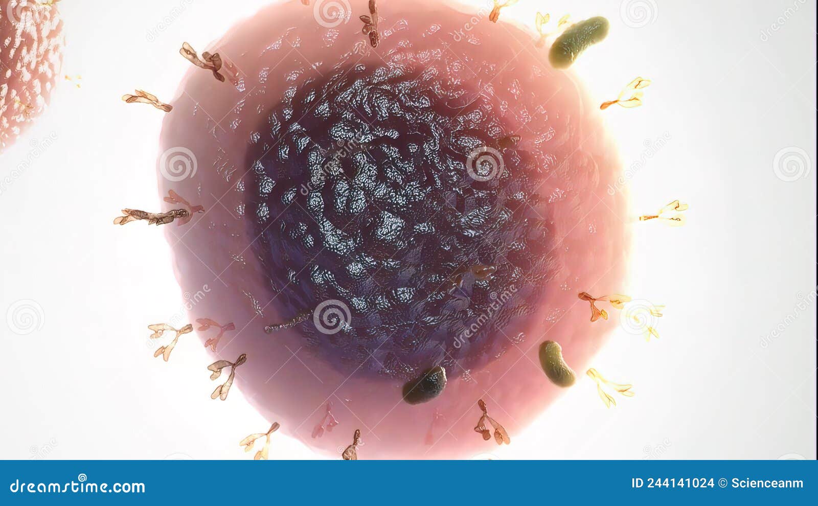 Bacteria Cell Destruction 3D Illustration Stock Illustration ...