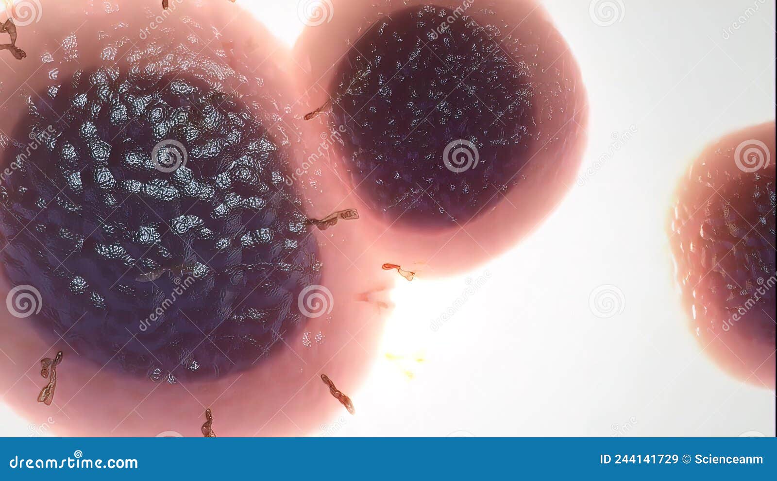 Bacteria Cell Destruction 3D Illustration Stock Illustration ...