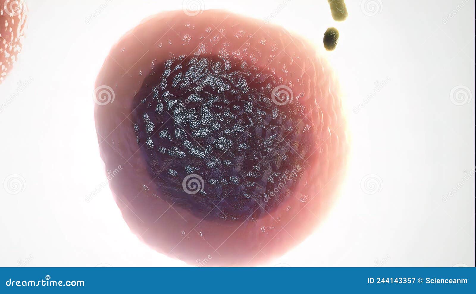 Bacteria Cell Destruction 3D Illustration Stock Illustration ...