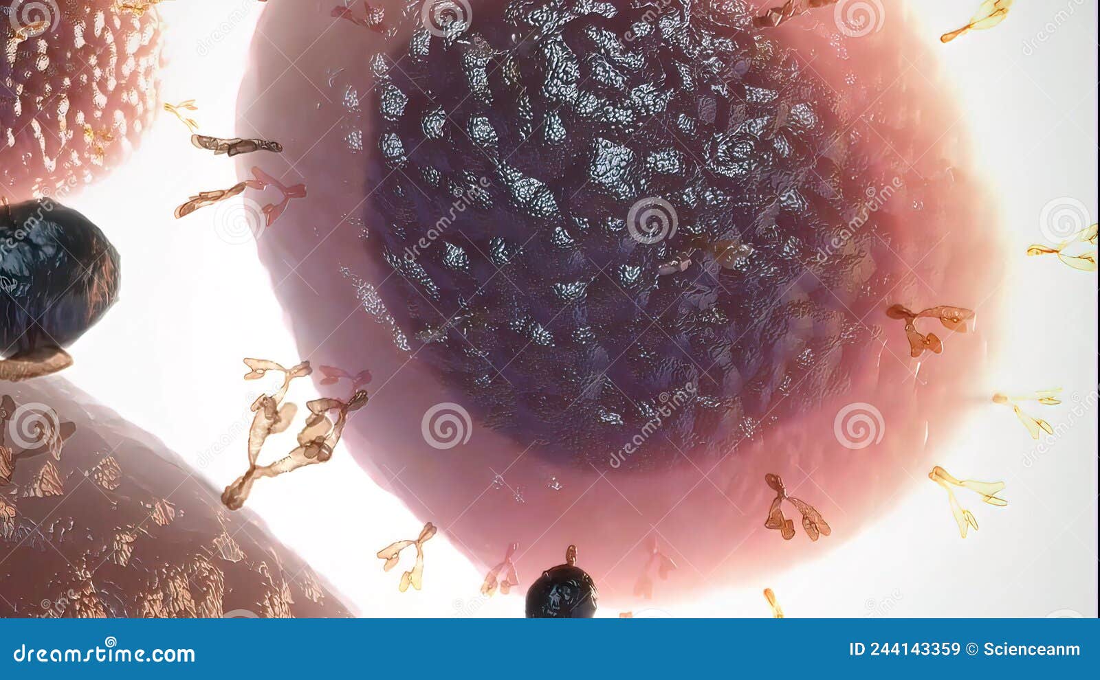 Bacteria Cell Destruction 3D Illustration Stock Illustration ...