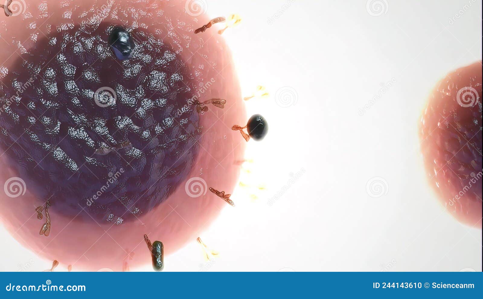 Bacteria Cell Destruction 3D Illustration Stock Illustration ...