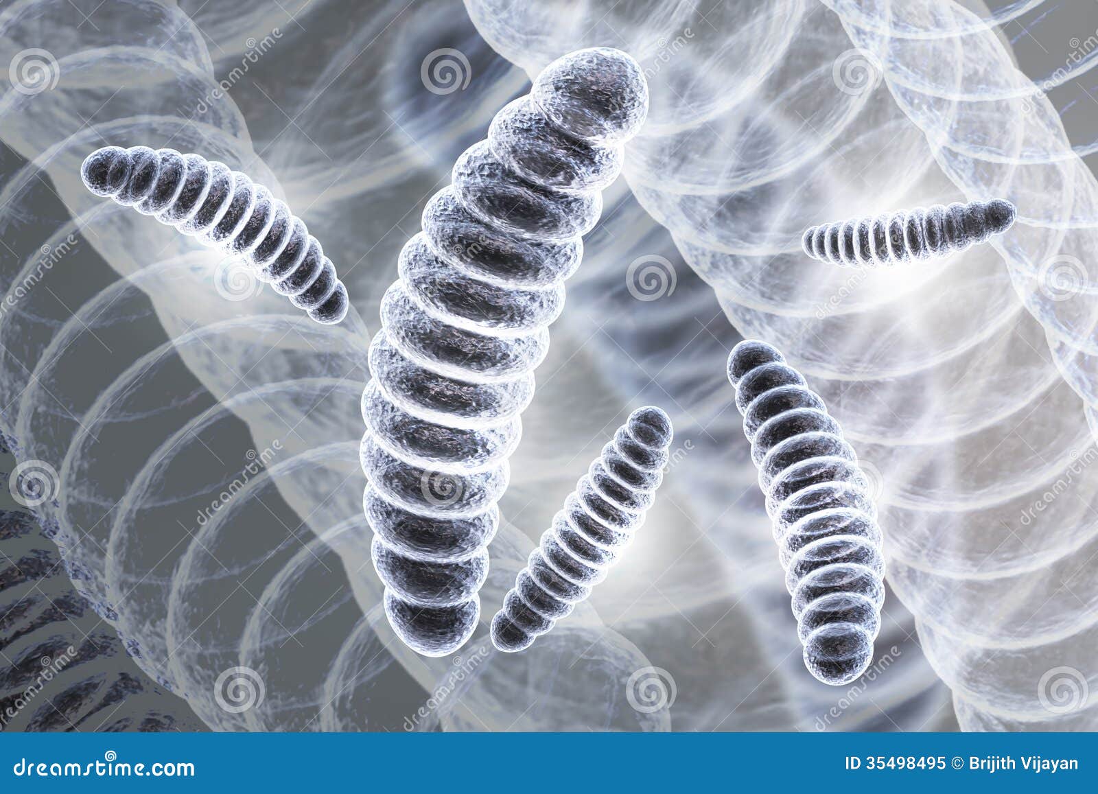 Bacteria cell stock illustration. Illustration of experiment - 35498495