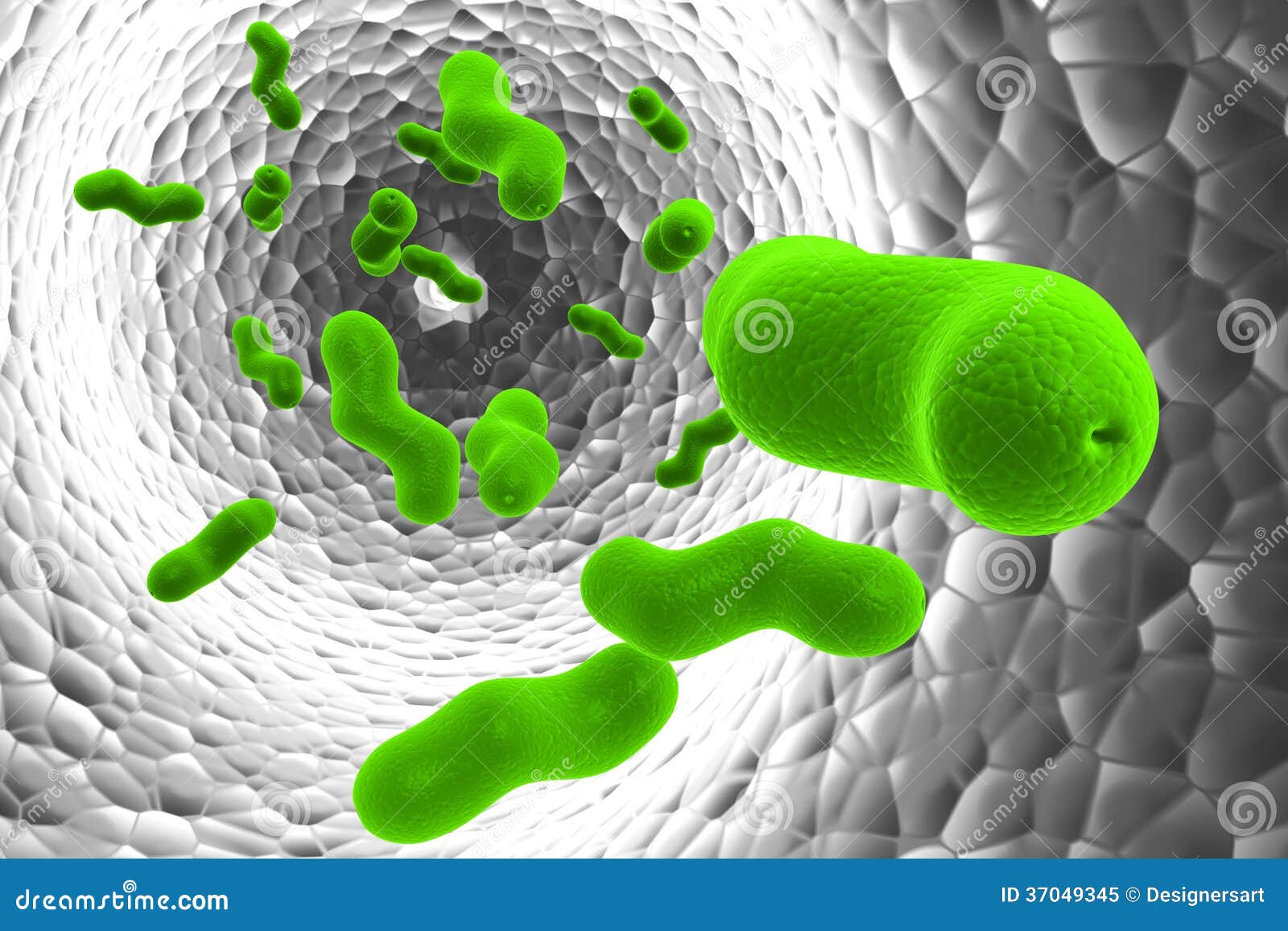 Prophase Cartoons, Illustrations & Vector Stock Images - 288 Pictures ...