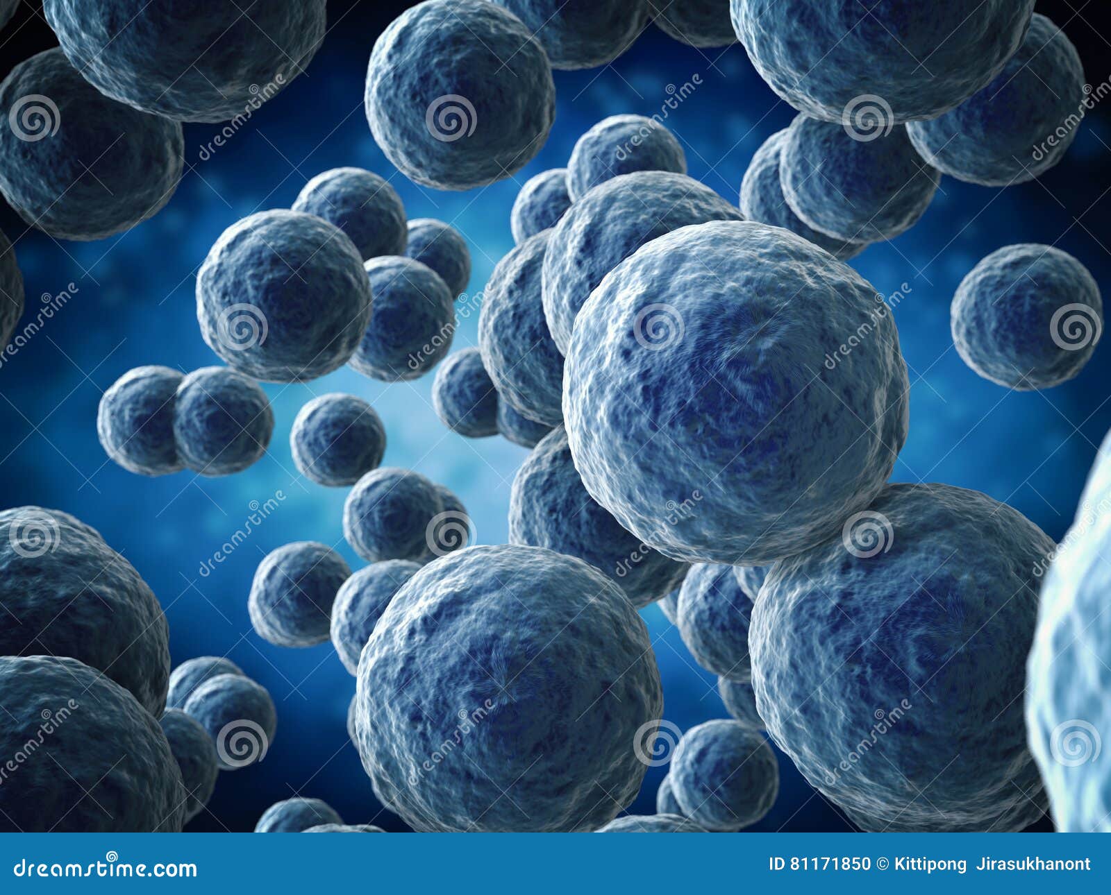 Bacteria Cells With Rough Texture Royalty-Free Stock Image ...