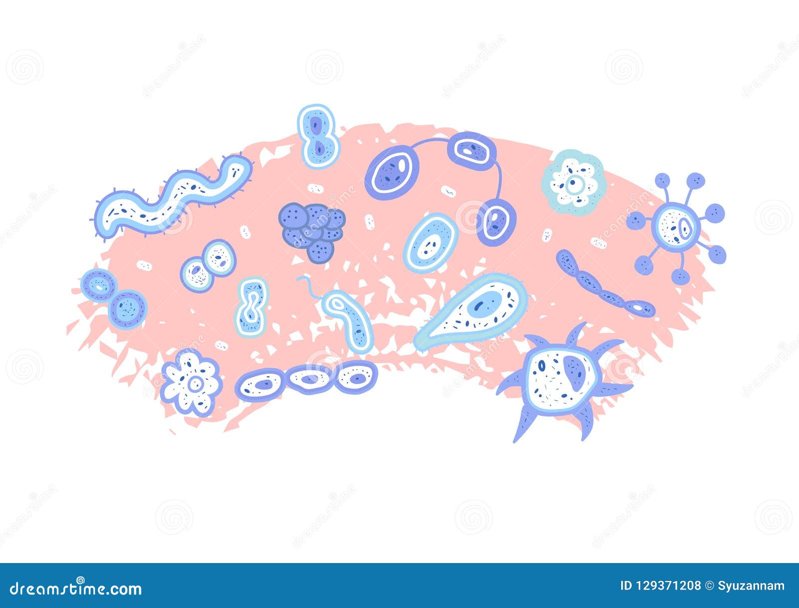 Bacteria Cells Set Composition. Vector Illustration. Stock Vector ...