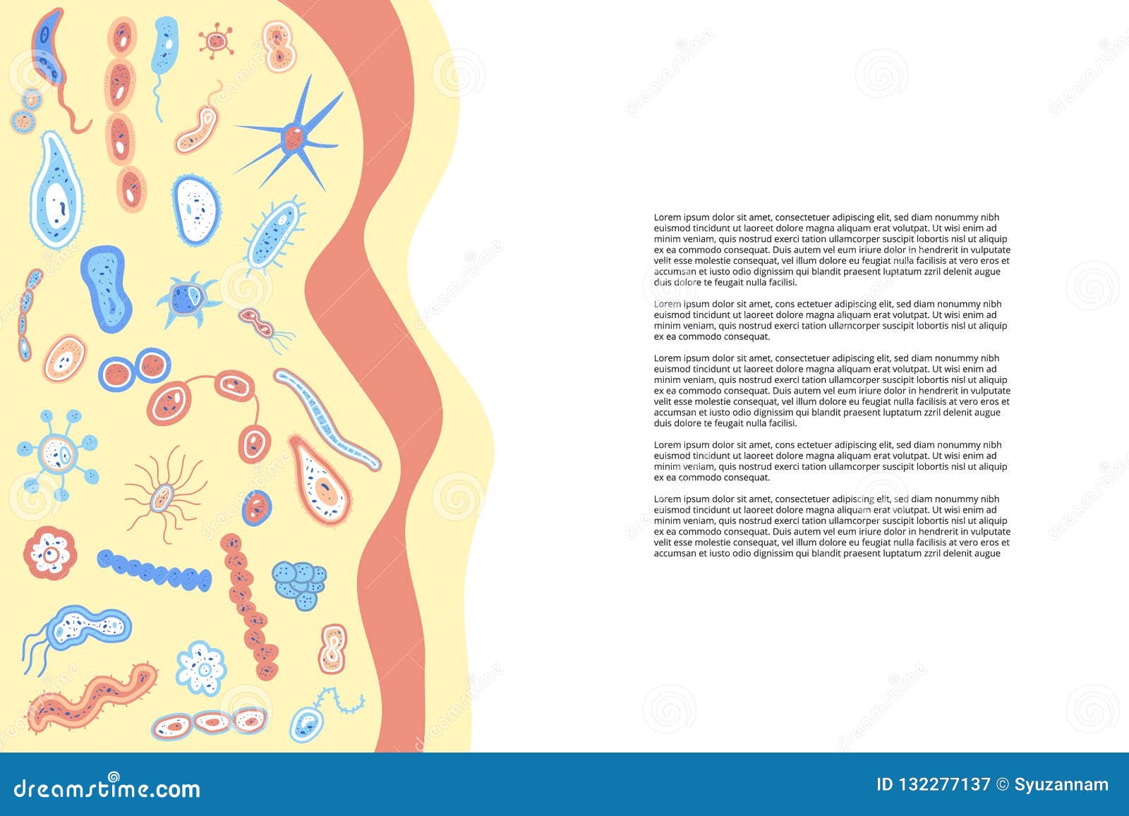 Bacteria Cells Set Composition. Vector Illustration. Stock Vector ...