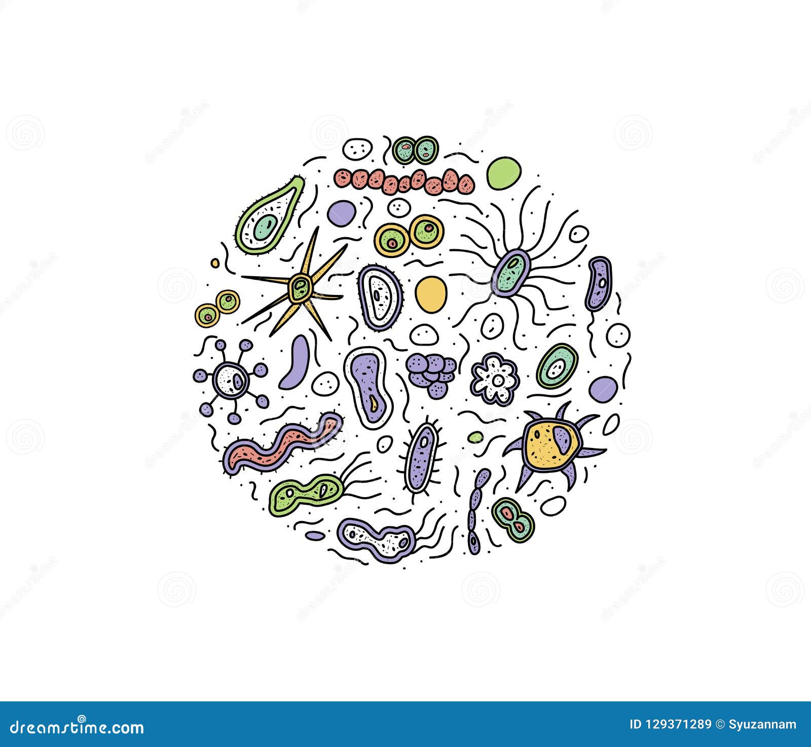Bacteria Cells Set. Vector Illustration. Stock Vector - Illustration of ...