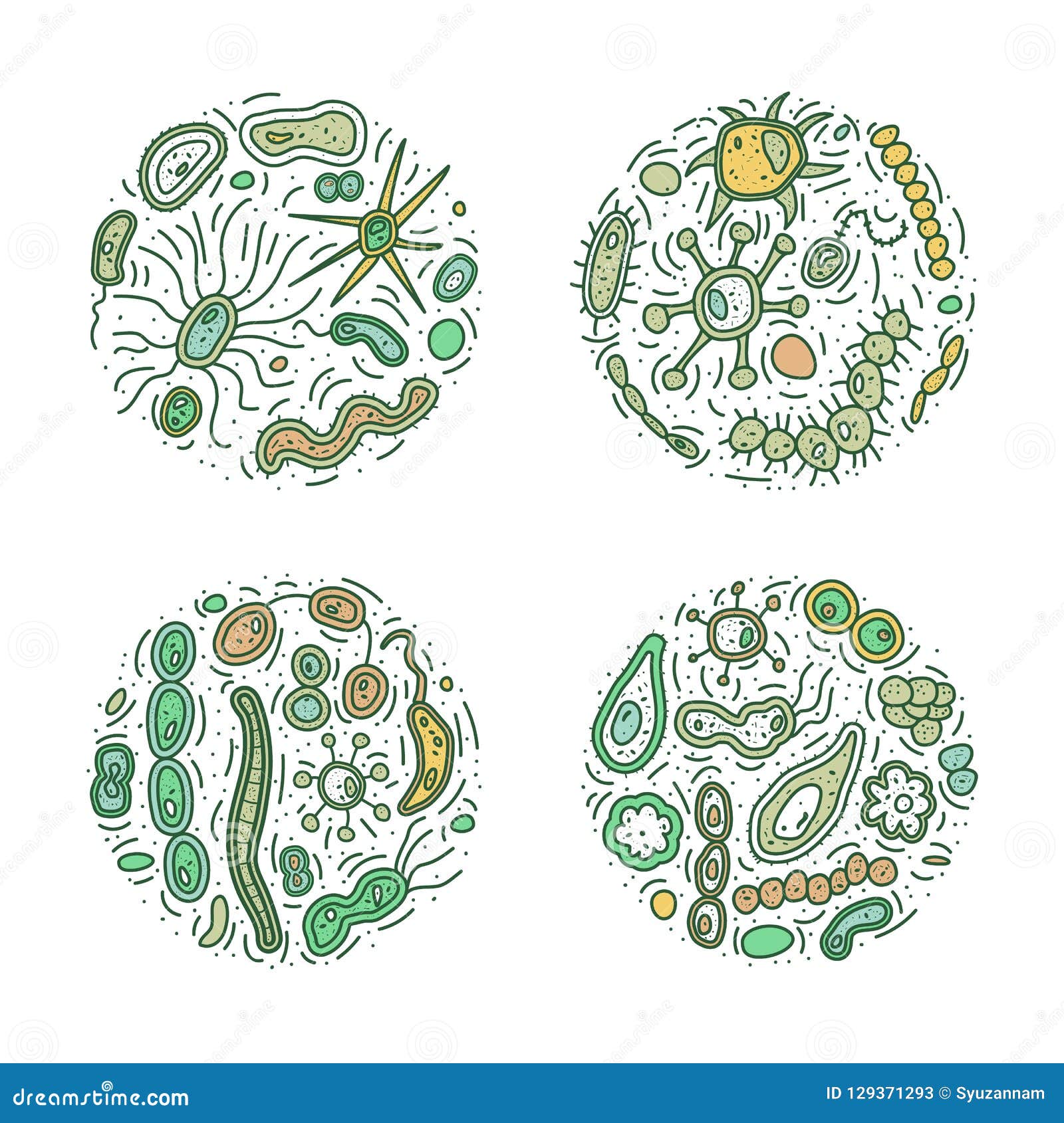 Bacteria Cells Sets. Vector Illustration. Stock Vector - Illustration ...
