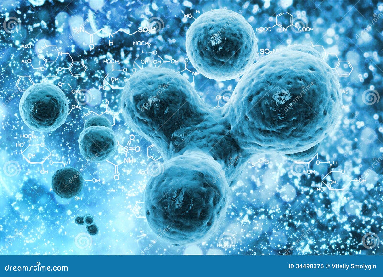 Bacteria or Cells Under a Microscope Stock Illustration - Illustration ... Bacteria or Cells Under a Microscope Stock Illustration - Illustration ...