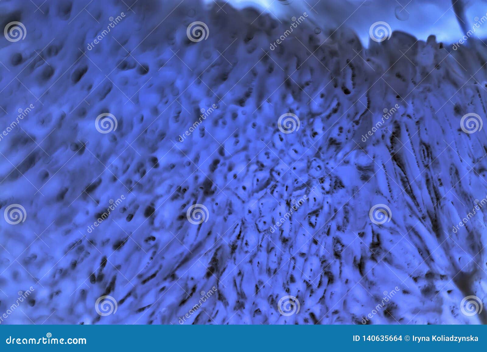 Bacteria or Cells Under a Microscope. Multiplication of Bacteria or ...