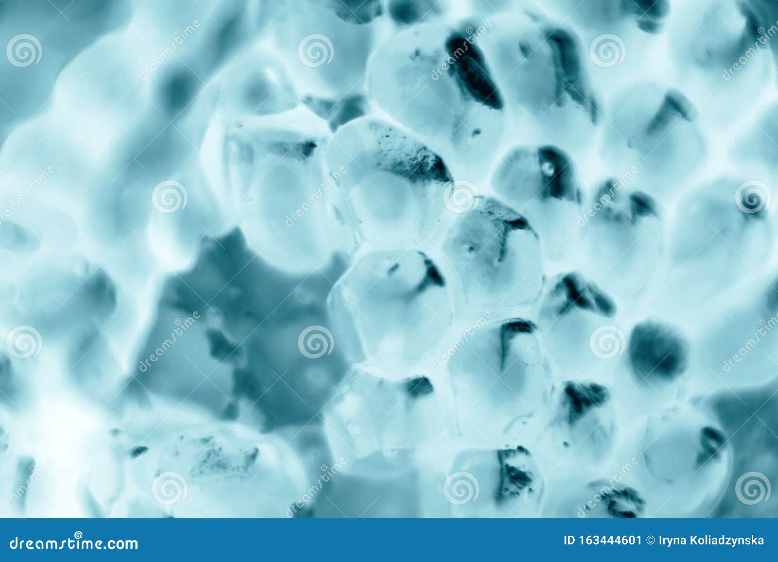 The Cells Under The Microscope, Or The Cells Under The Microscope ...