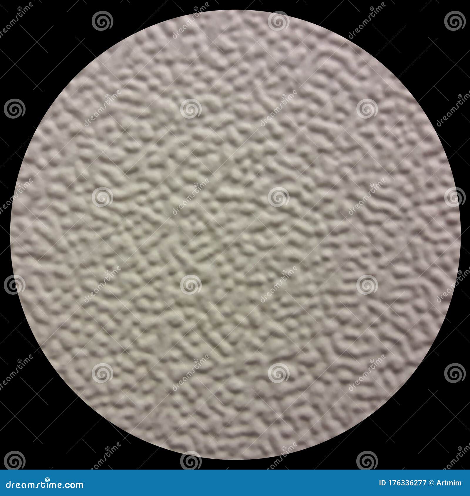 Bacteria or Cells Under a Microscope. Multiplication of Bacteria Stock ...