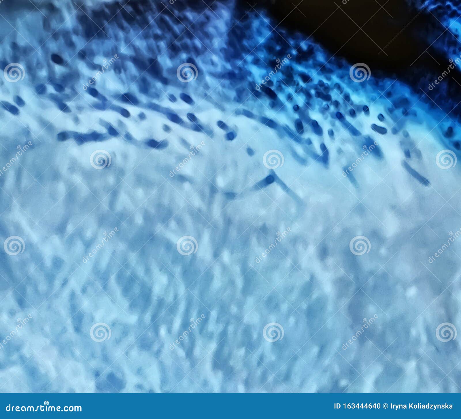 Bacteria or Cells Under the Microscope. Multiplication of Bacteria or ...