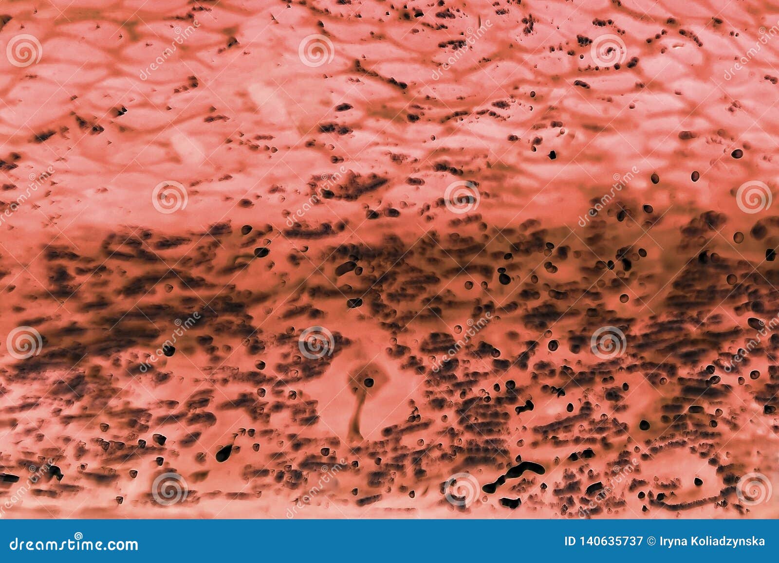 Bacteria or Cells Under a Microscope. Multiplication of Bacteria or ...