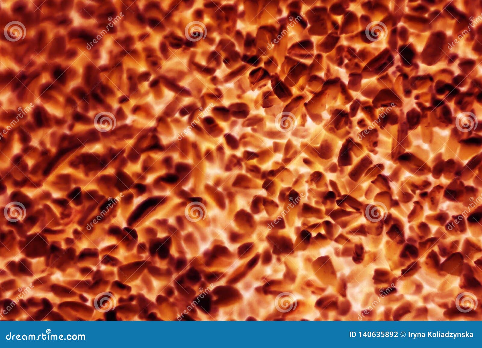 Bacteria or Cells Under a Microscope. Multiplication of Bacteria or ...