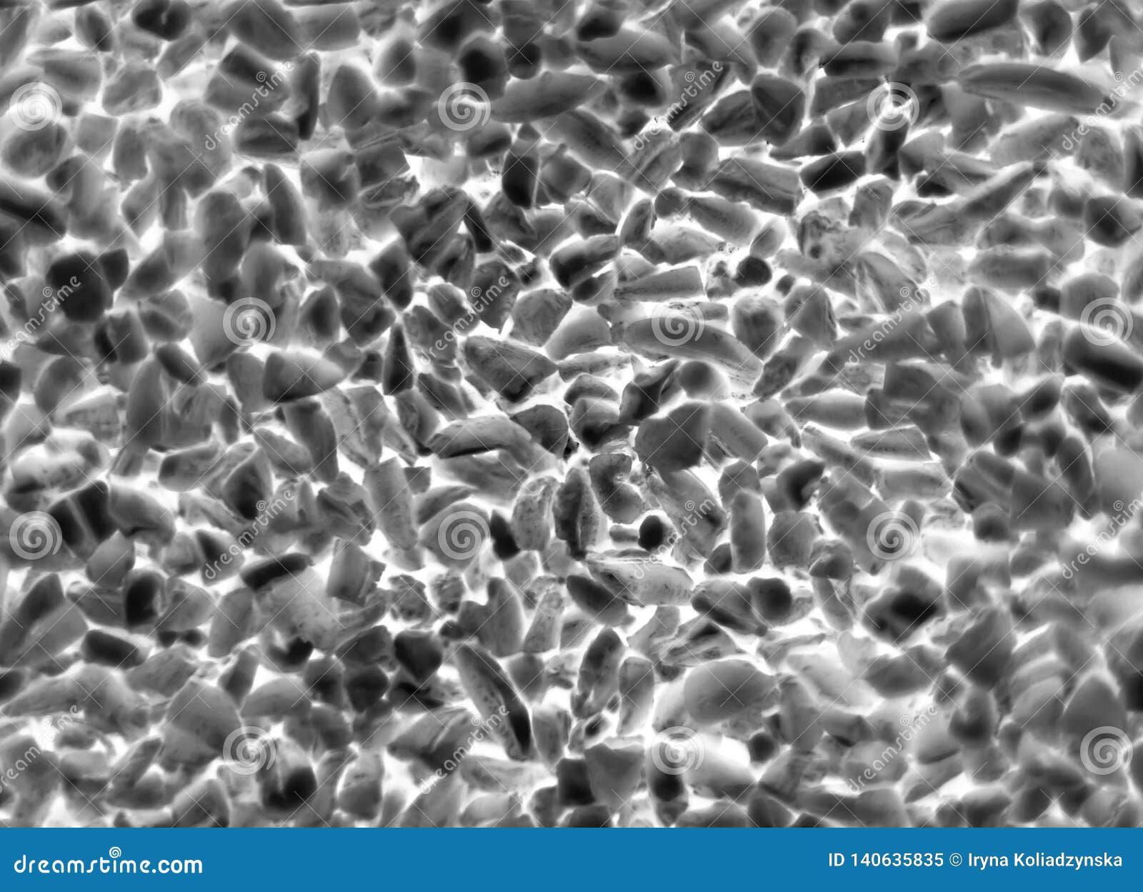Bacteria or Cells Under a Microscope. Multiplication of Bacteria or ...