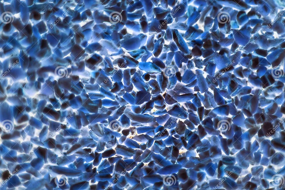 Bacteria or Cells Under a Microscope. Multiplication of Bacteria or ...