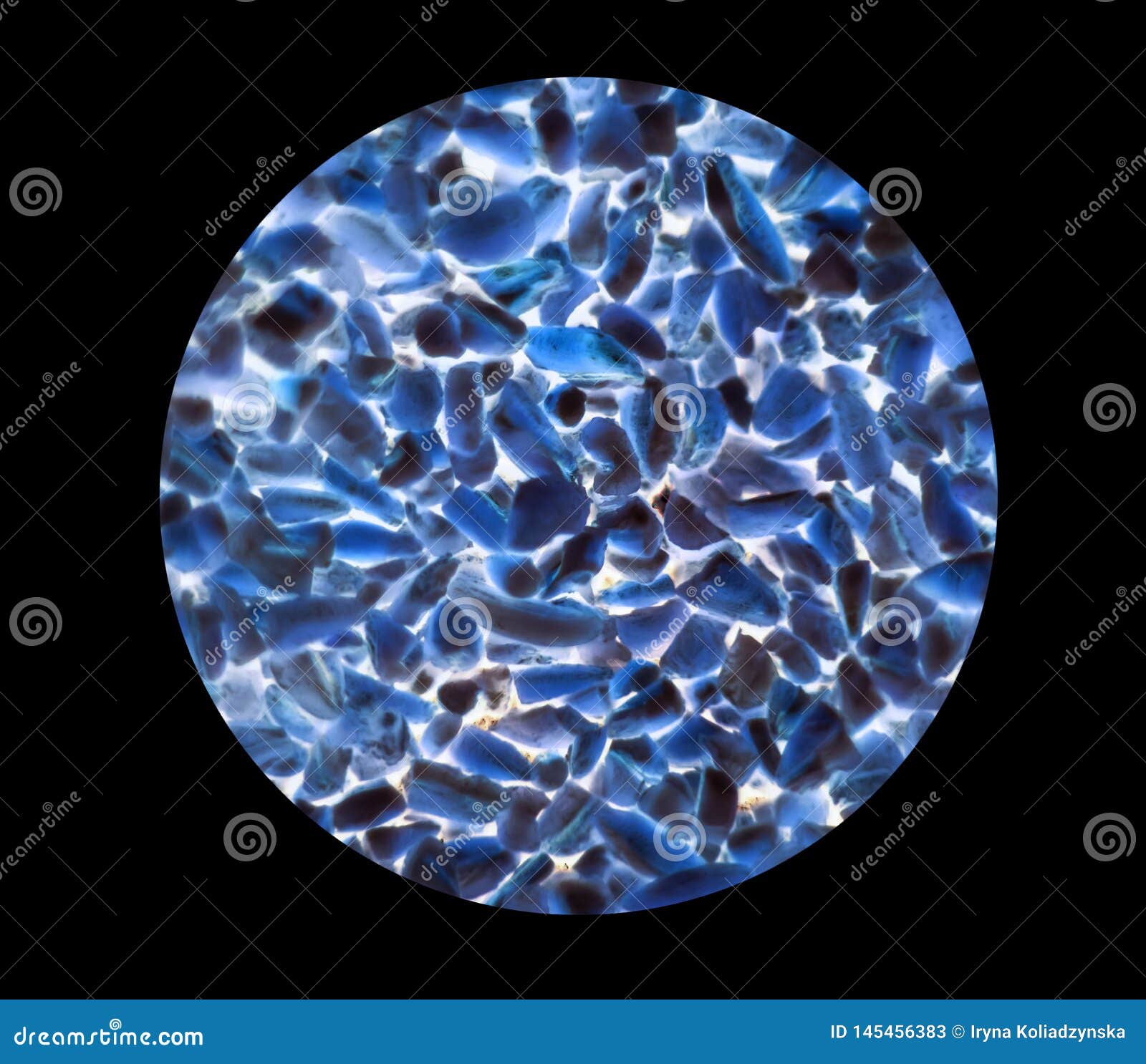 Bacteria Under Light Microscope