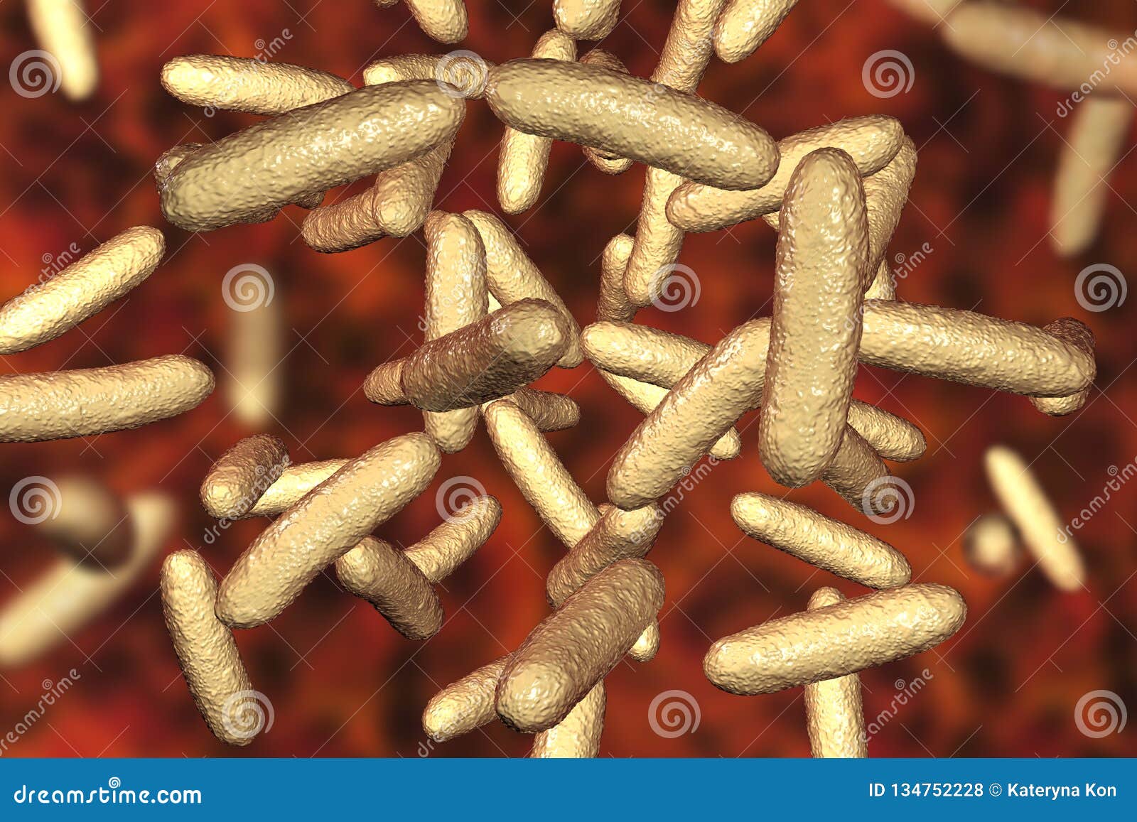 Bacteria Citrobacter, Gram-negative Coliform Bacteria in the Family ...