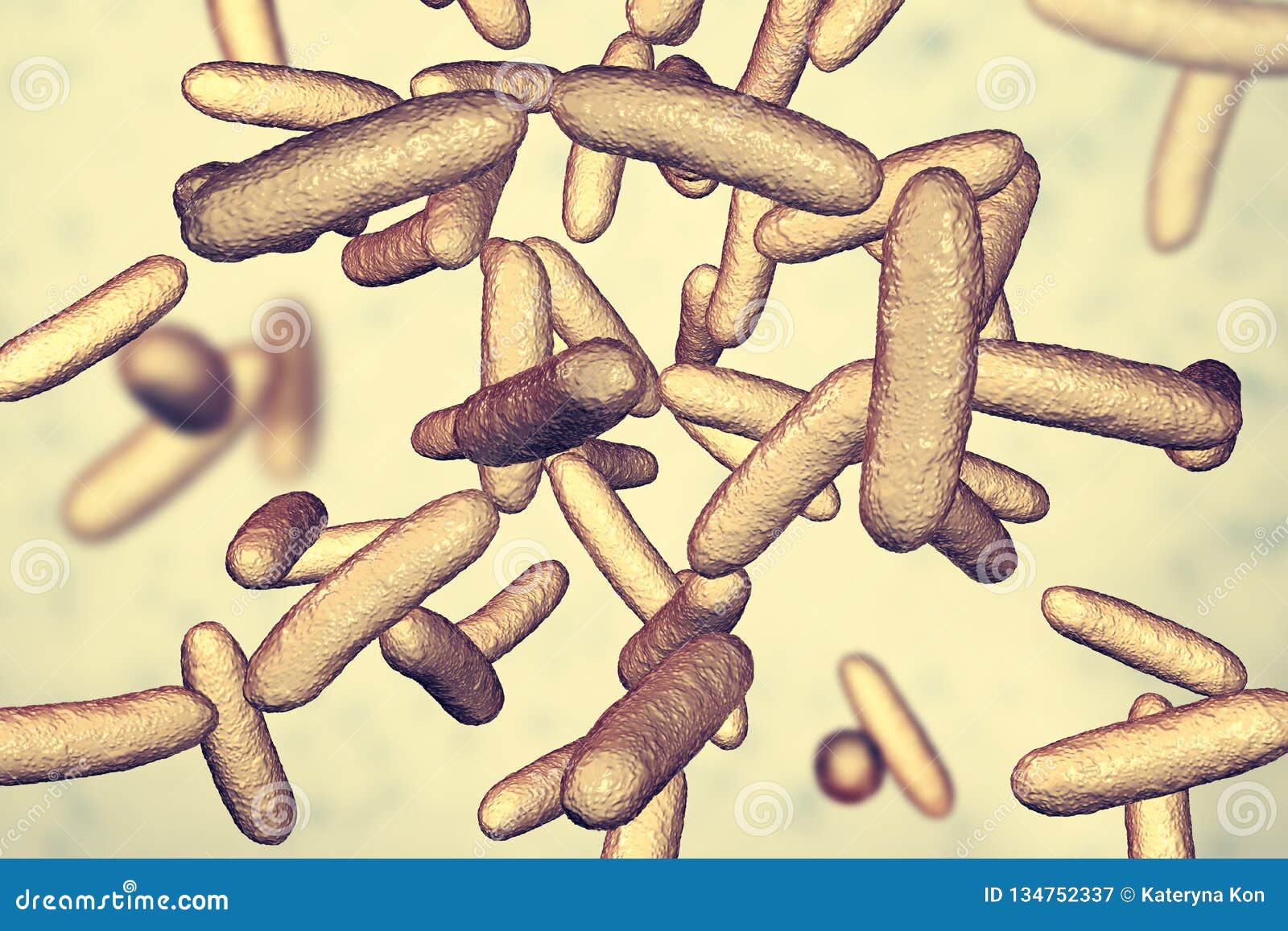 Bacteria Citrobacter, Gram-negative Coliform Bacteria In The Family ...