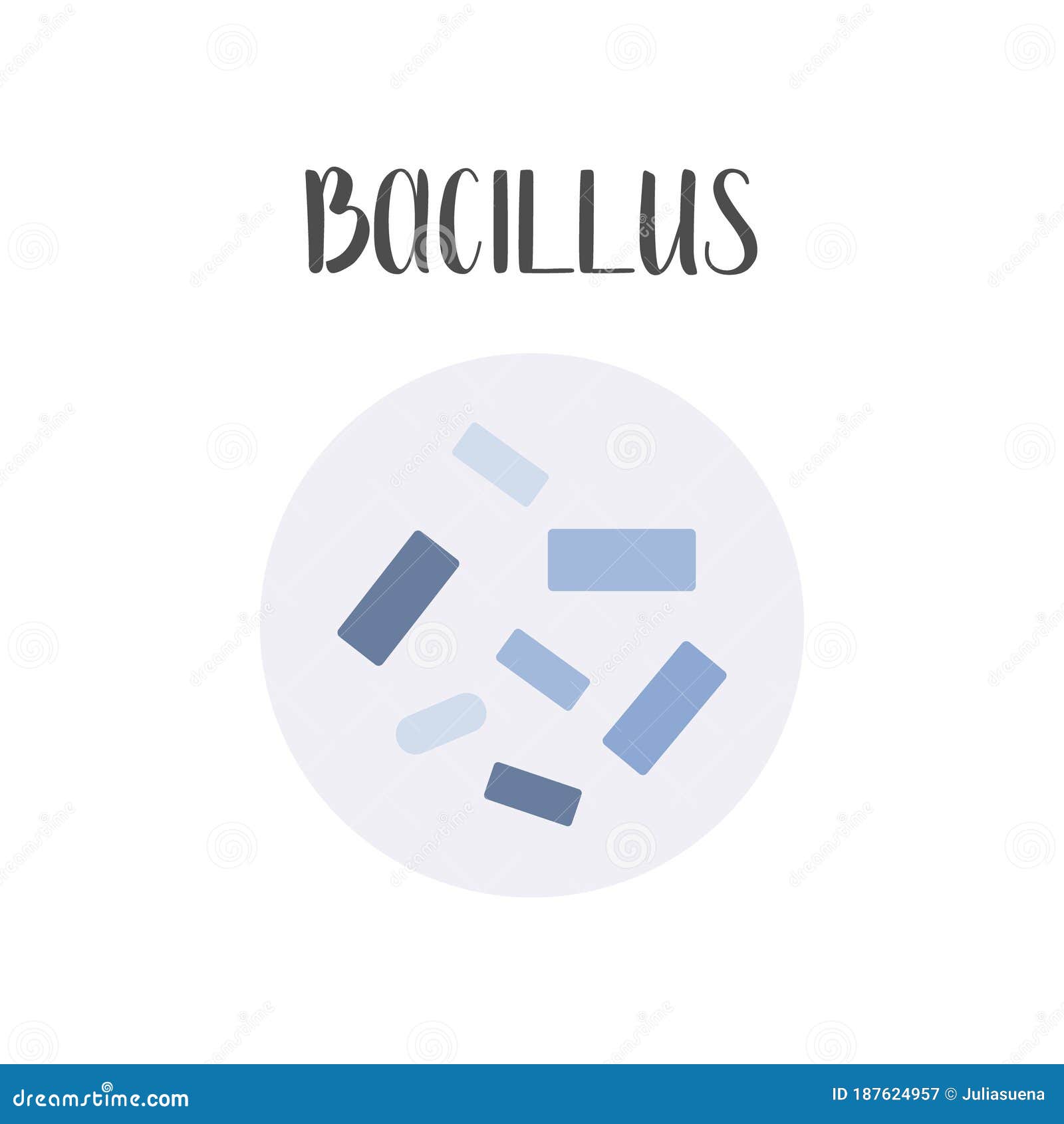 Coccobacillus Vs Rod