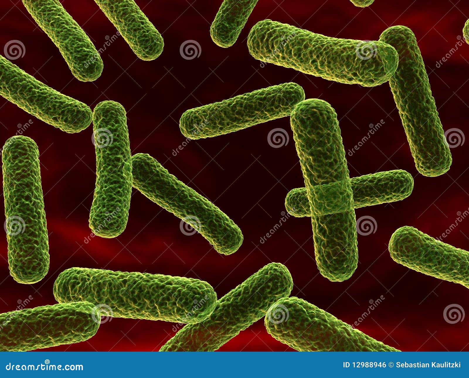 Bacteria - close up stock illustration. Illustration of medical - 12988946