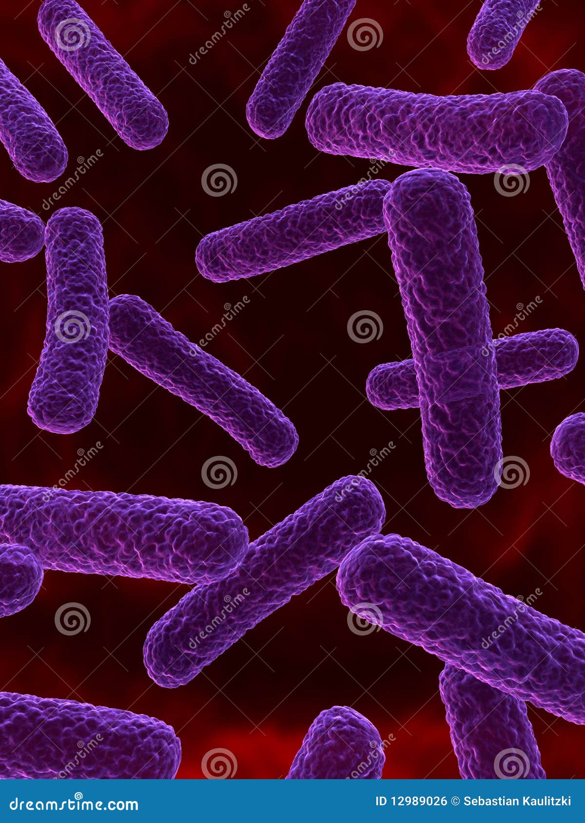 Bacteria - close up stock illustration. Illustration of microscopic ...