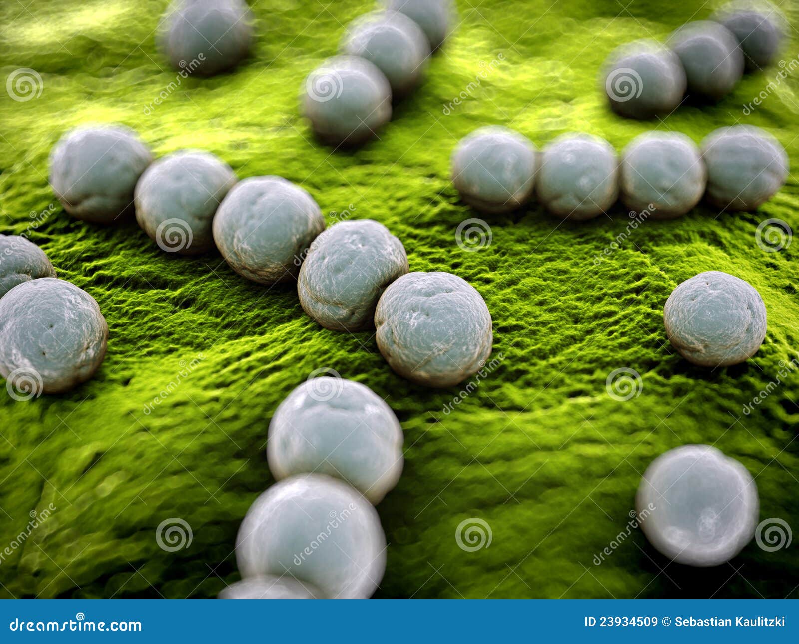 Bacteria close up stock illustration. Illustration of bacterium - 23934509
