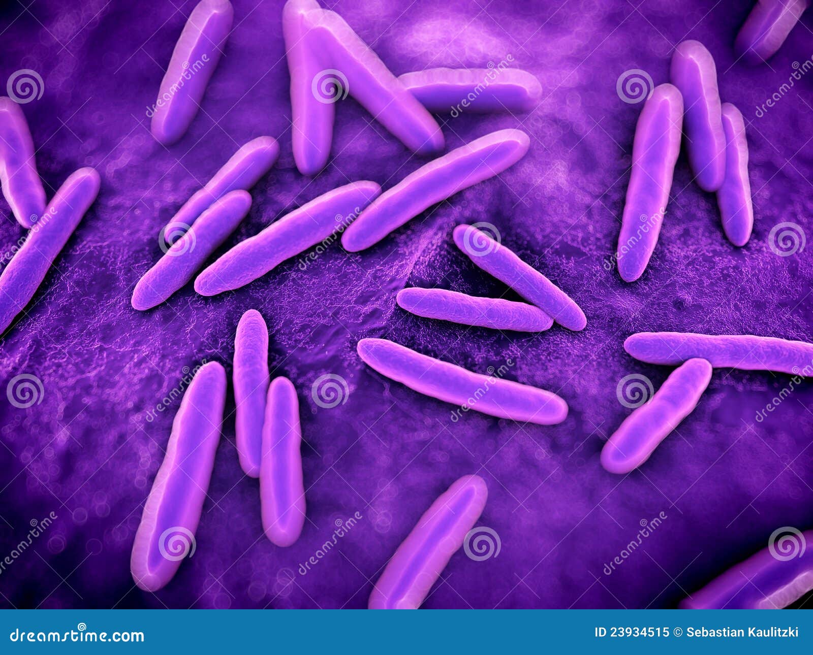Bacteria close up stock illustration. Illustration of cells - 23934515