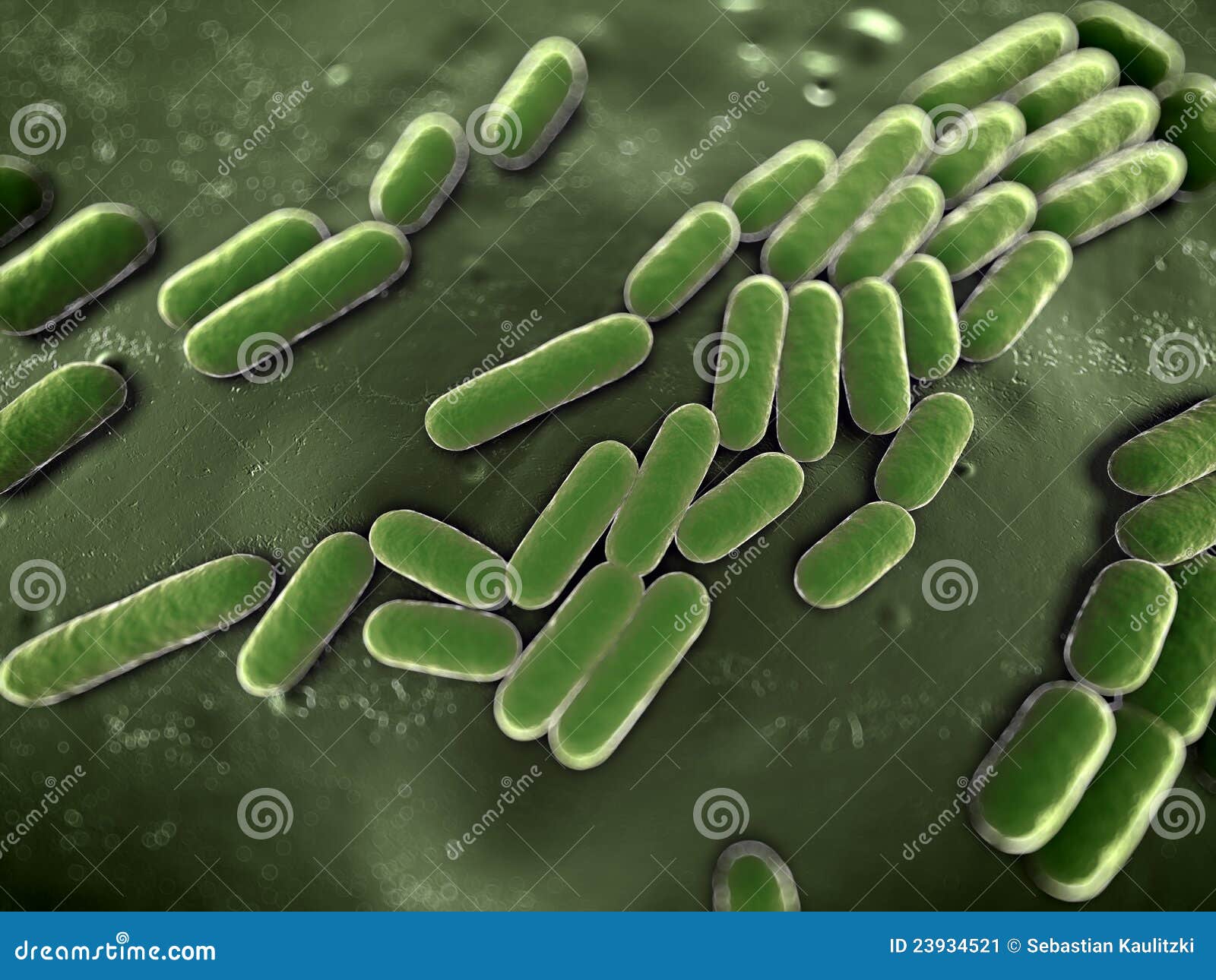 Bacteria close up stock illustration. Illustration of macro - 23934521