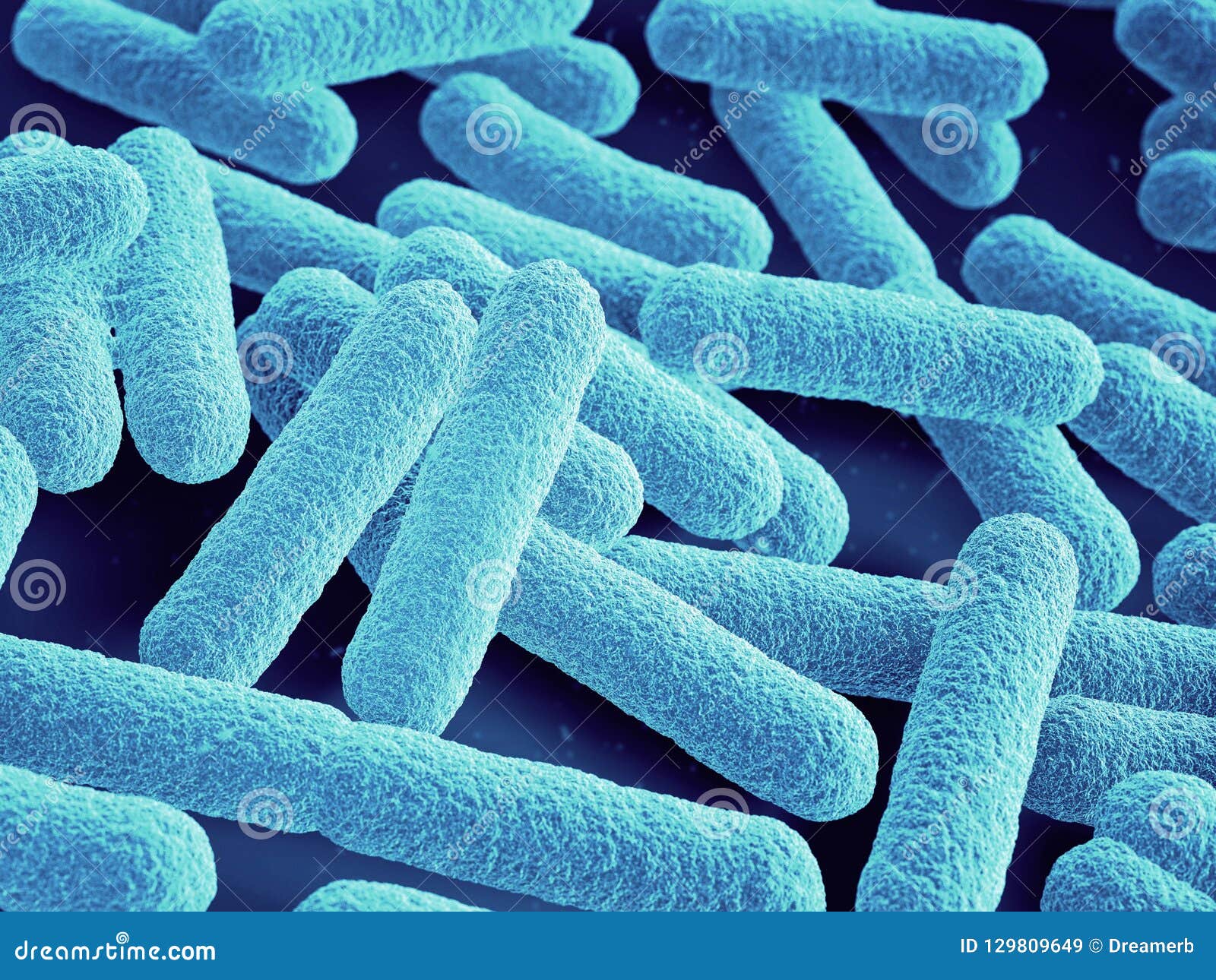 Bacteria Close Up. Escherichia Coli Royalty-Free Stock Photo ... Bacteria Close Up. Escherichia Coli Royalty-Free Stock Photo ...