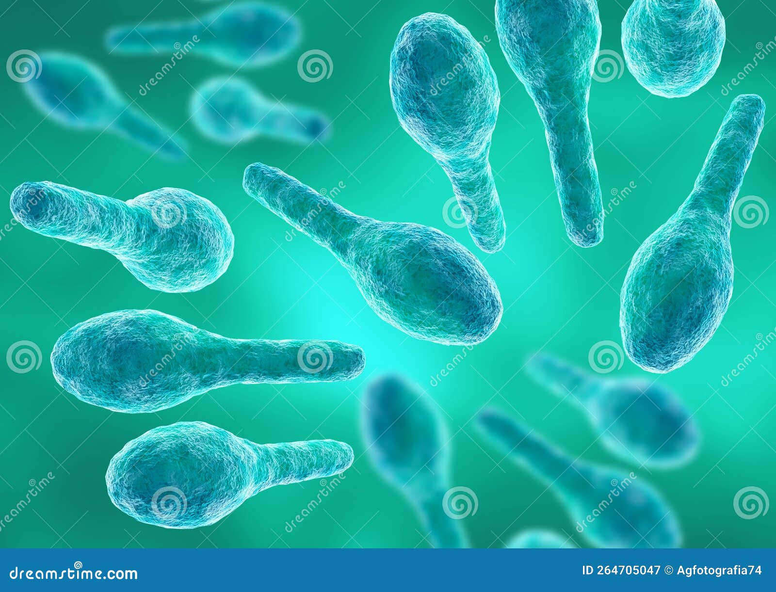 Bacteria Clostridium Tetani Under Magnified Microscope, Causing the ...