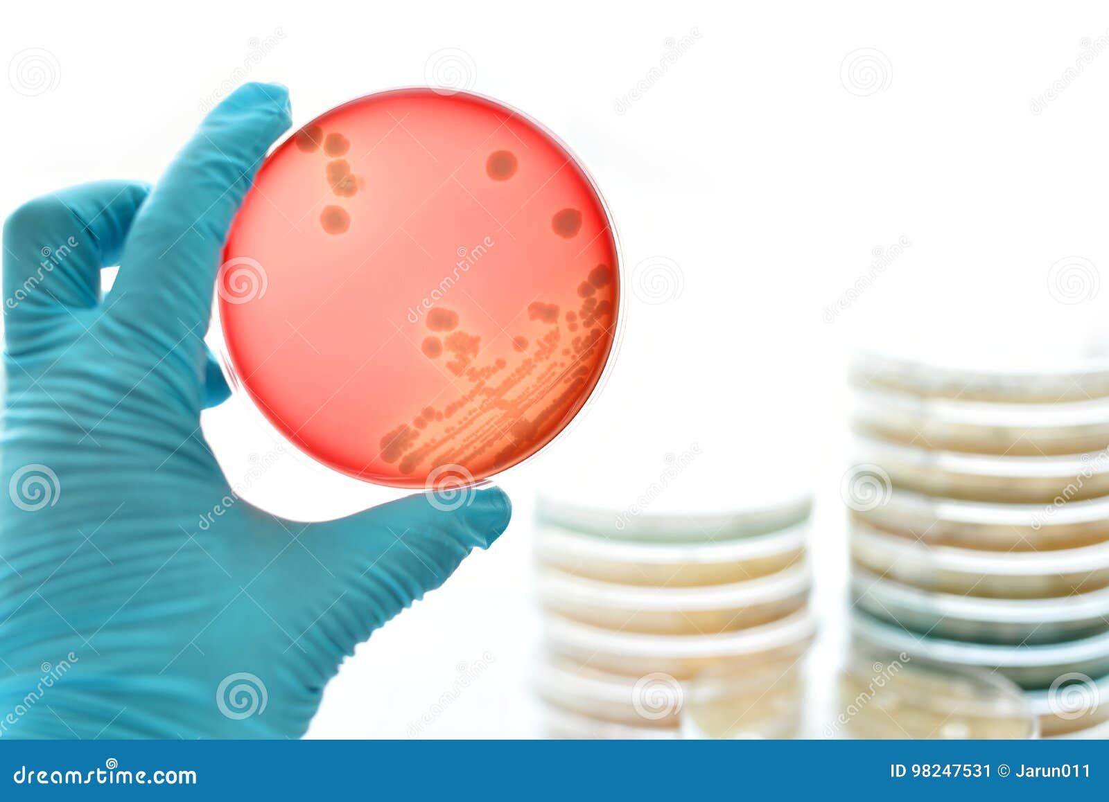Bacteria Colonies Stock Photography | CartoonDealer.com #96887444