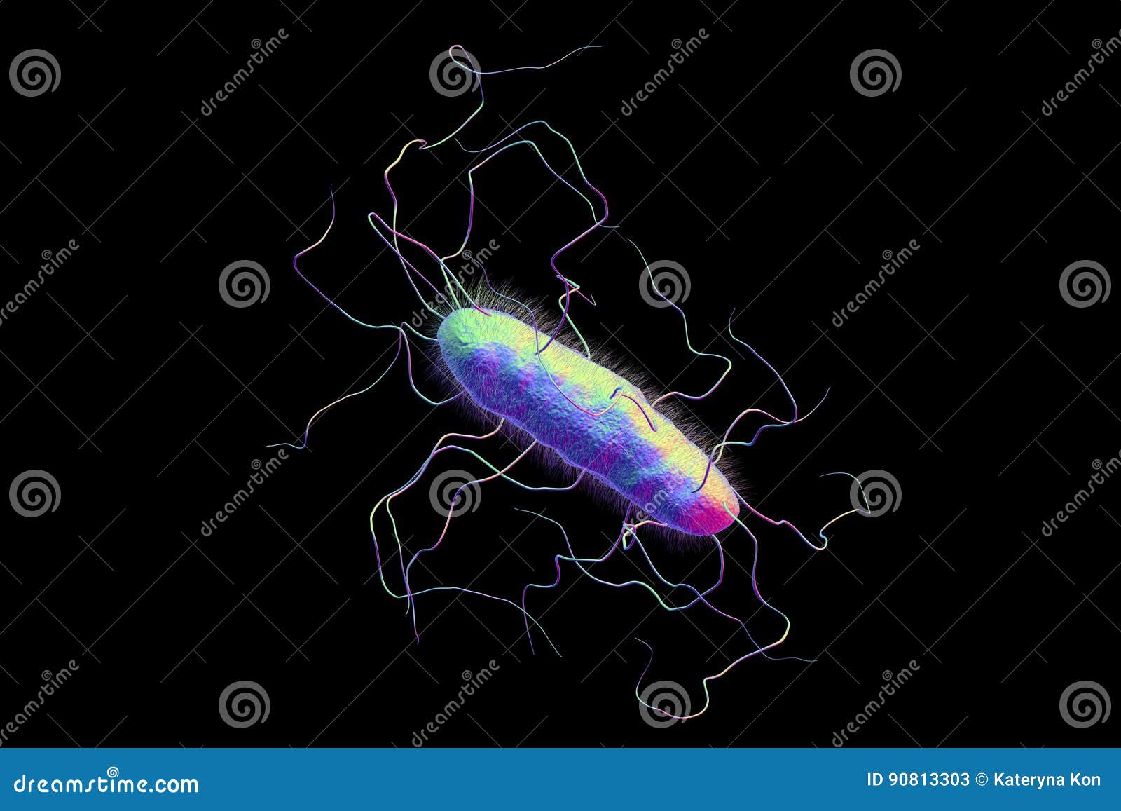 Bacteria Con Pilli Y Los Flagelos Stock de ilustración - Ilustración de ...