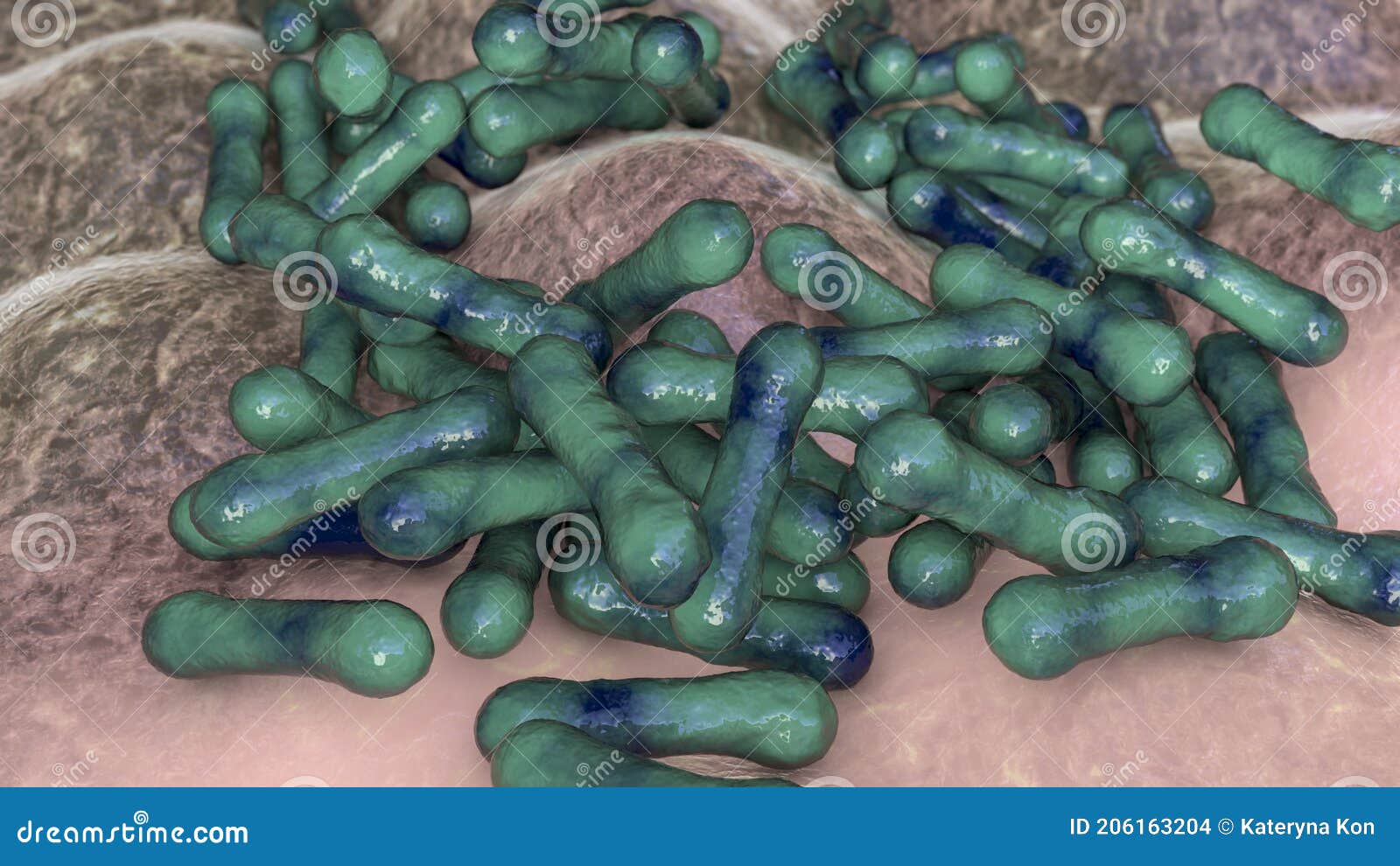 Bacteria Corynebacterium Diphtheriae Stock Illustration - Illustration ...