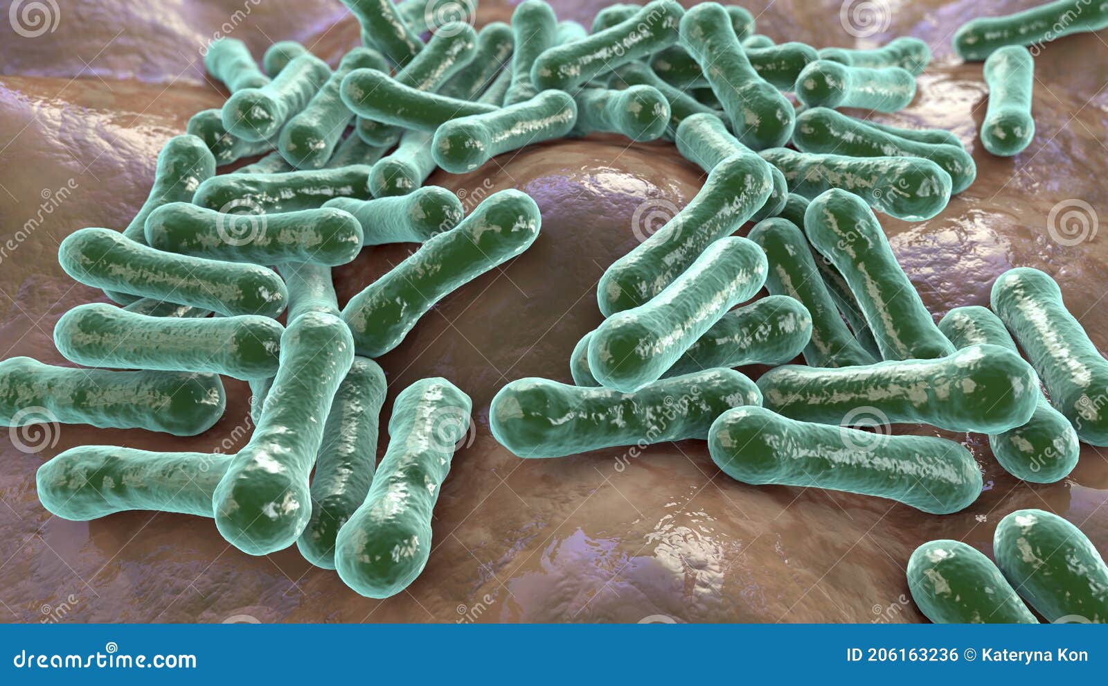 Bacteria Corynebacterium Diphtheriae Stock Illustration | CartoonDealer ...