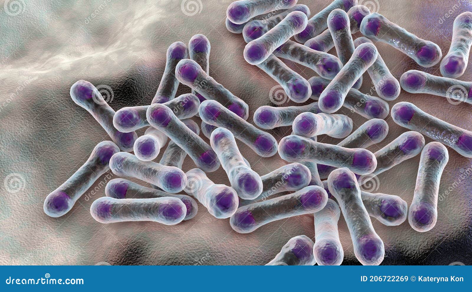 Bacteria Corynebacterium Diphtheriae Royalty-Free Illustration ...