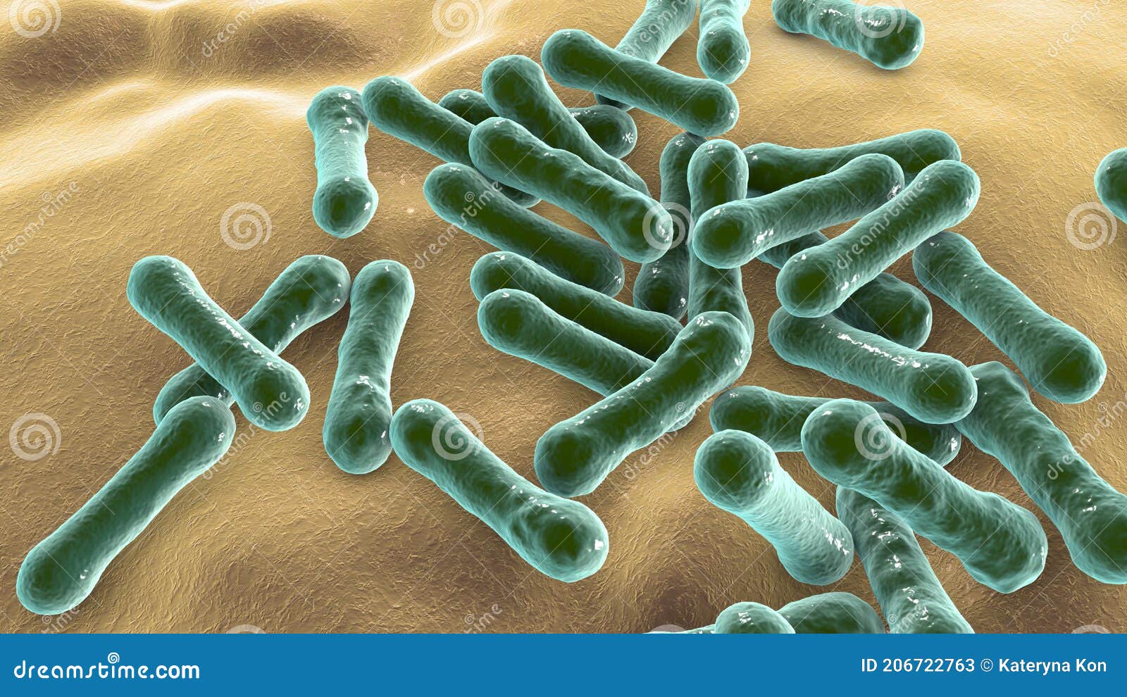 Diphtheria Bacteria Shape