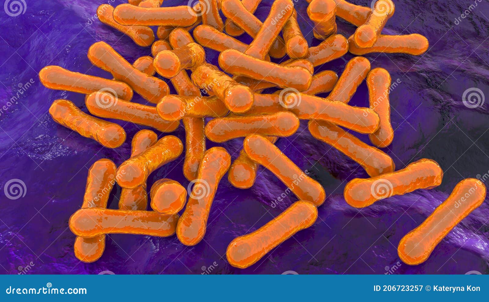 Bacteria Corynebacterium Diphtheriae Royalty-Free Illustration ...