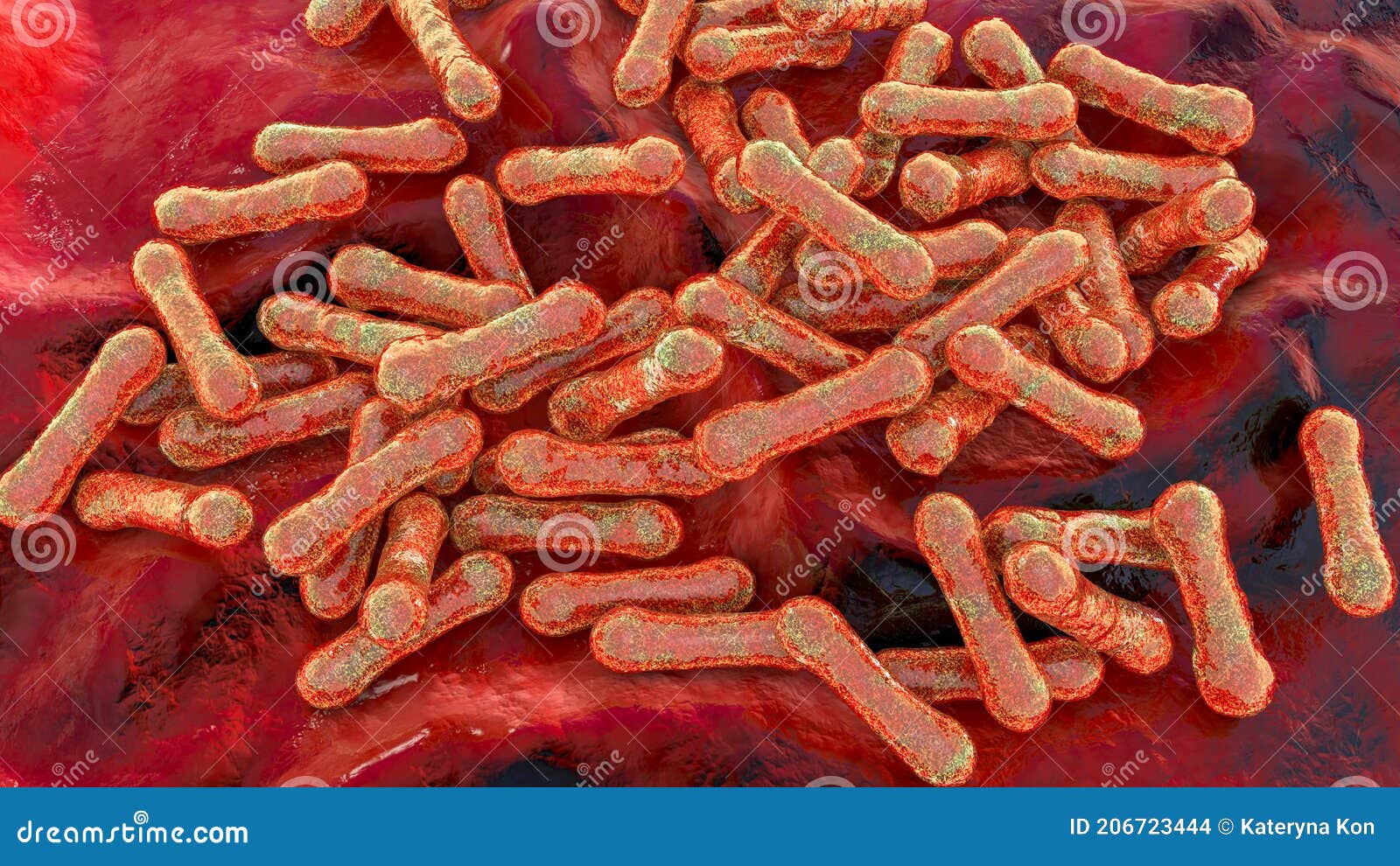 Bacteria Corynebacterium Diphtheriae Stock Illustration - Illustration ...