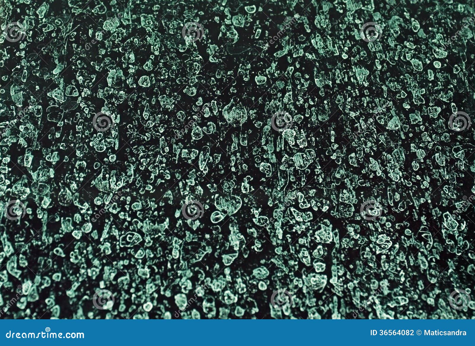 Bacteria on a Dark Blue Background Stock Photo - Image of life ...